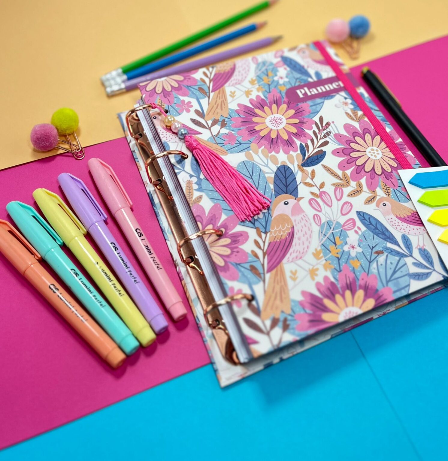 Planner Fichário 2026 – Pássaros - Elaine Candido