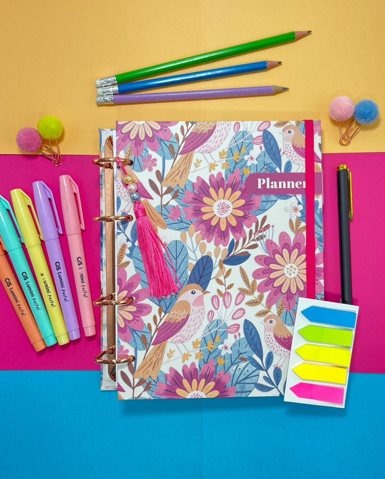 Planner Fichário 2026 – Pássaros - Elaine Candido